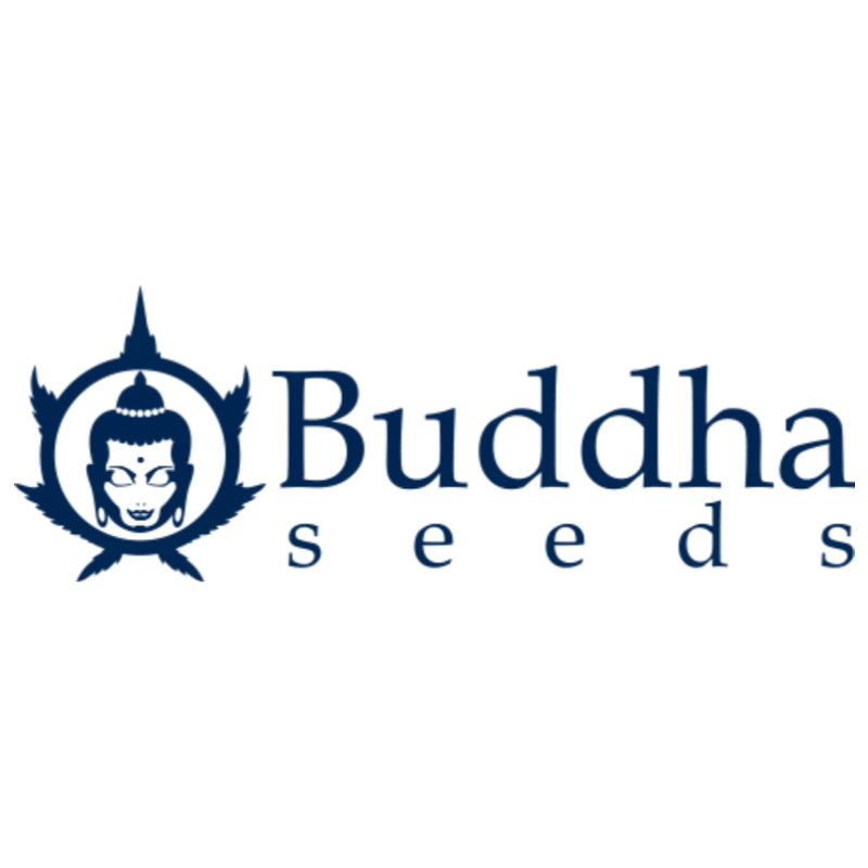 Buddha Seeds en Bloommart | Distribuidores Autorizados Elite ...