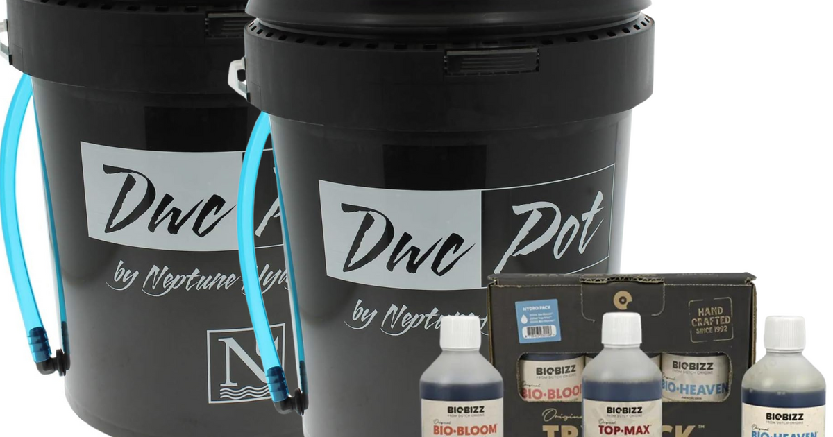 Combo Premium Hidropónico: X2 DWC + Nutrientes Biobizz en Bloommart