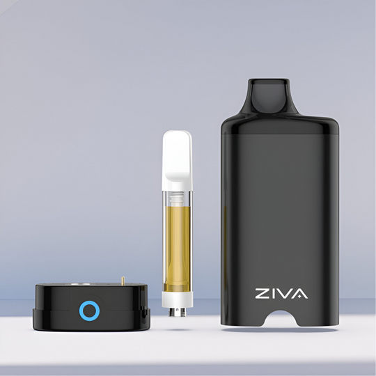 Vapes Recargables: Mejor Experiencia de Vapeo | Bloommart – Bloommart ...